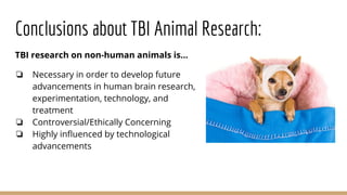 Brain Damage in Animals | PPT