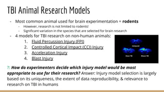 Brain Damage in Animals | PPT