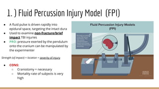 Brain Damage in Animals | PPT