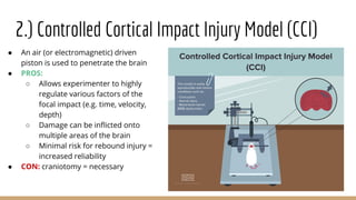 Brain Damage in Animals | PPT