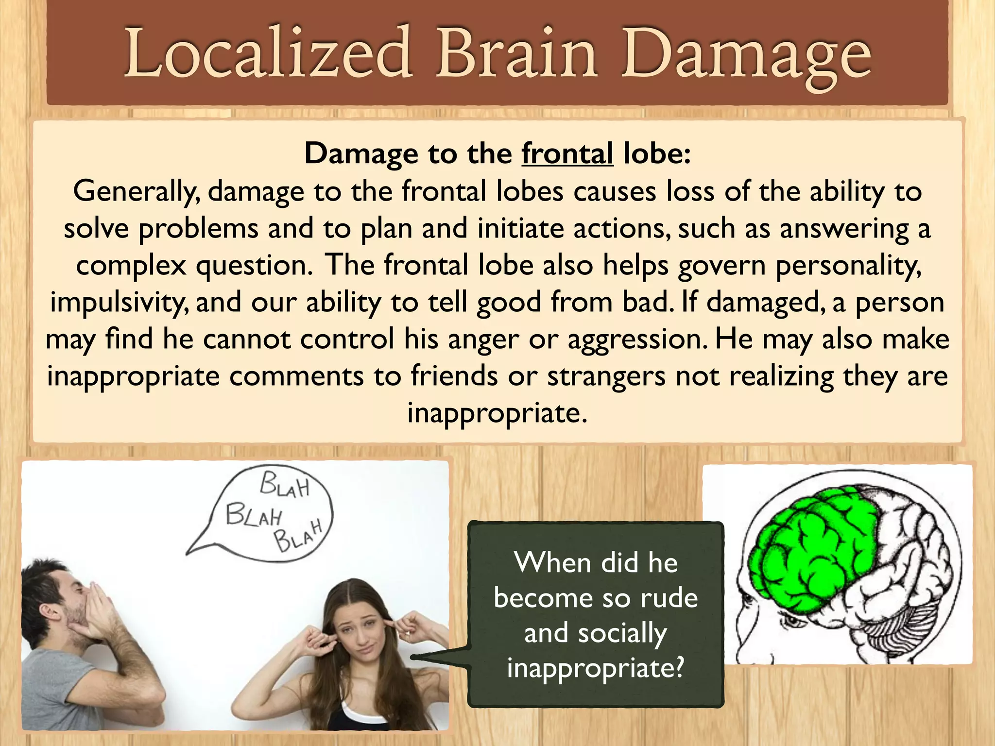 Brain Damage & Behavior | PDF
