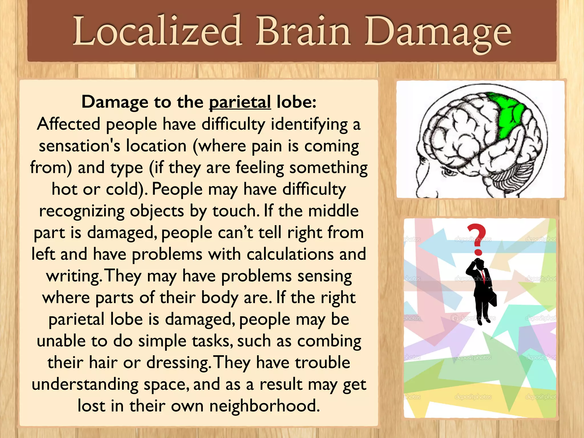 Brain Damage & Behavior | PPT