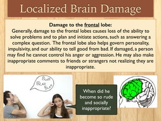 Brain Damage & Behavior | PDF