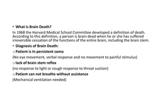 Brain_Dead_Animikha.pptx