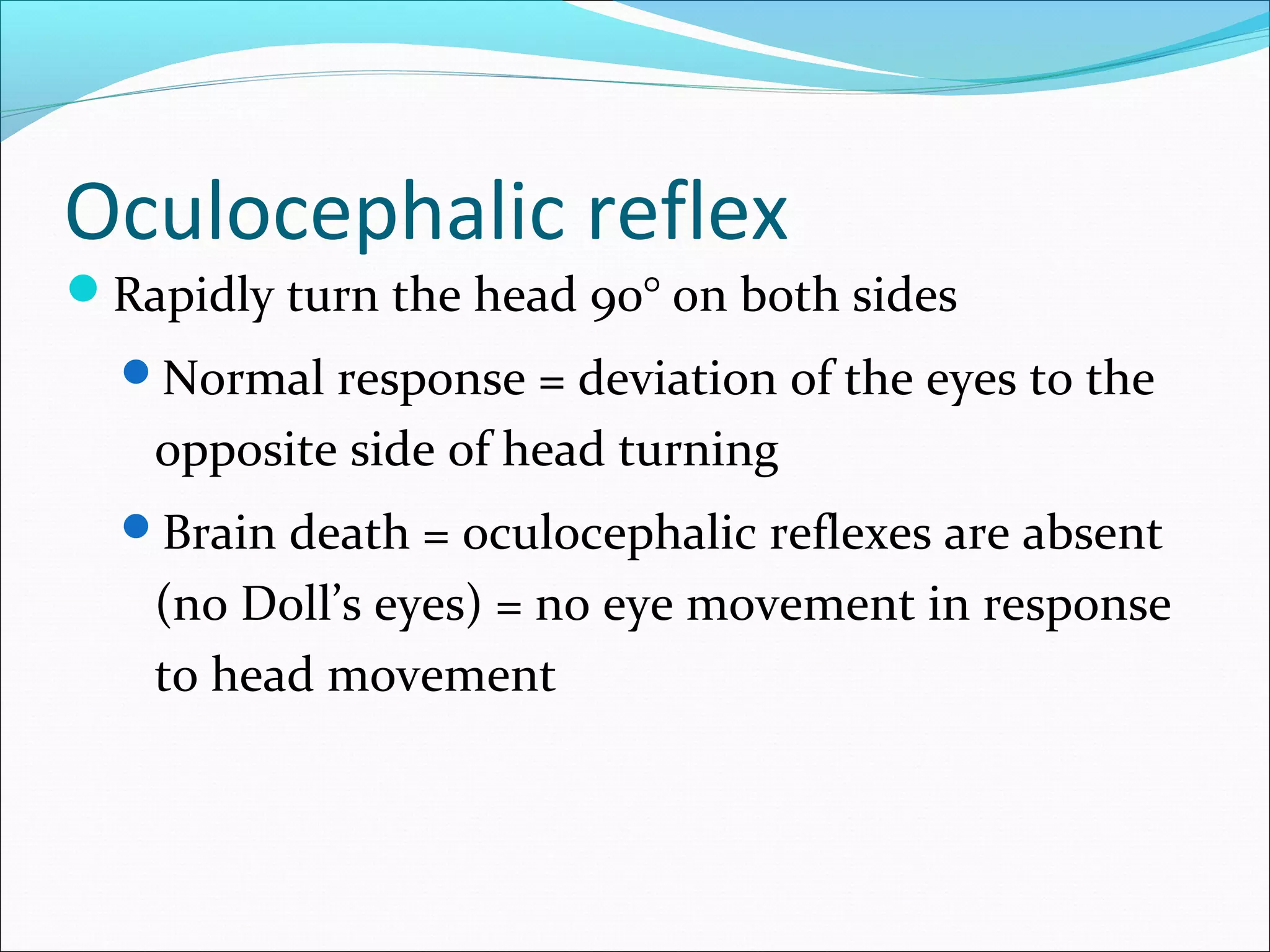 Brain death | PPT