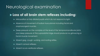 Brain death | PPTX | Lung and Respiratory Health | Diseases and Conditions