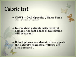 Brain death | PPTX | Brain and Nervous System Disorders | Diseases and ...