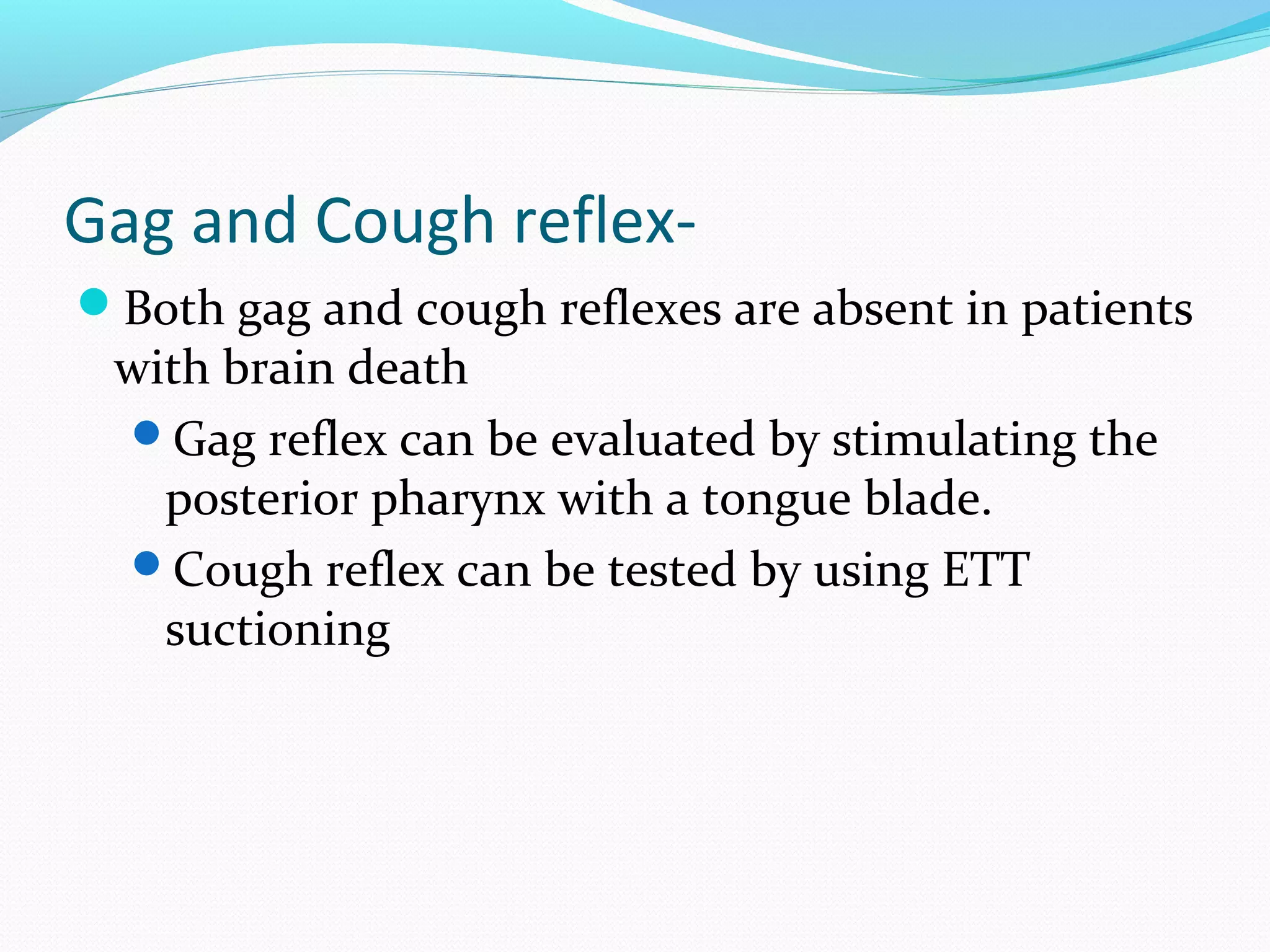 Brain death | PPT