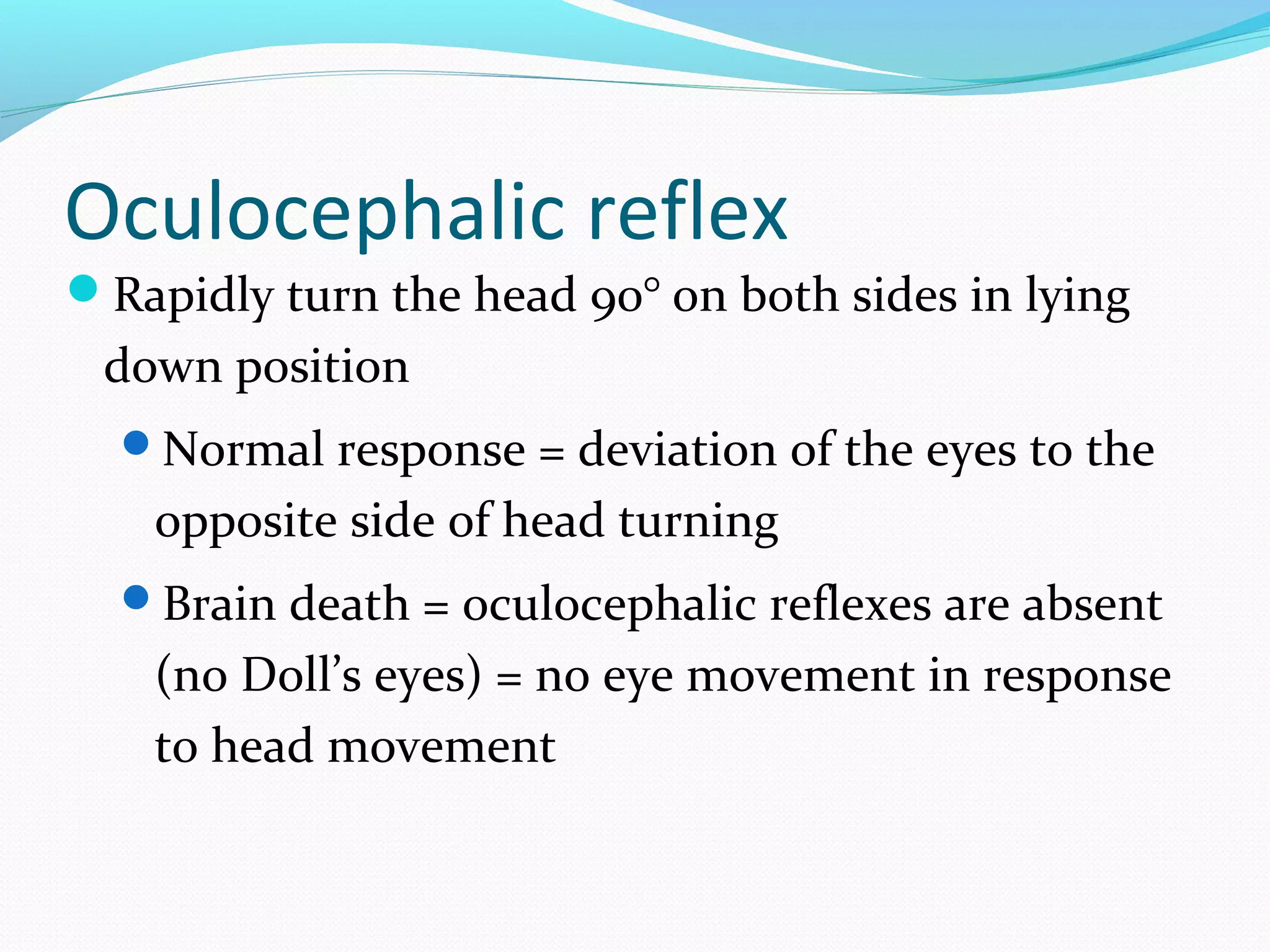 Brain death | PPT