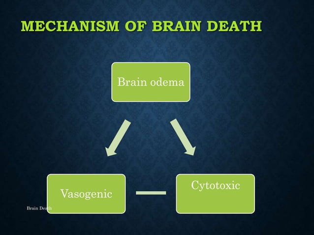 Brain Death and Preparation for Organ Donation | PPTX