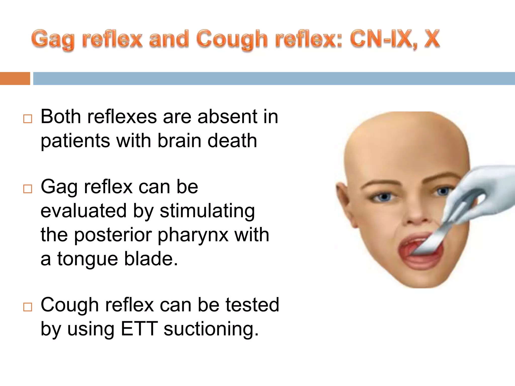 Brain death | PPTX