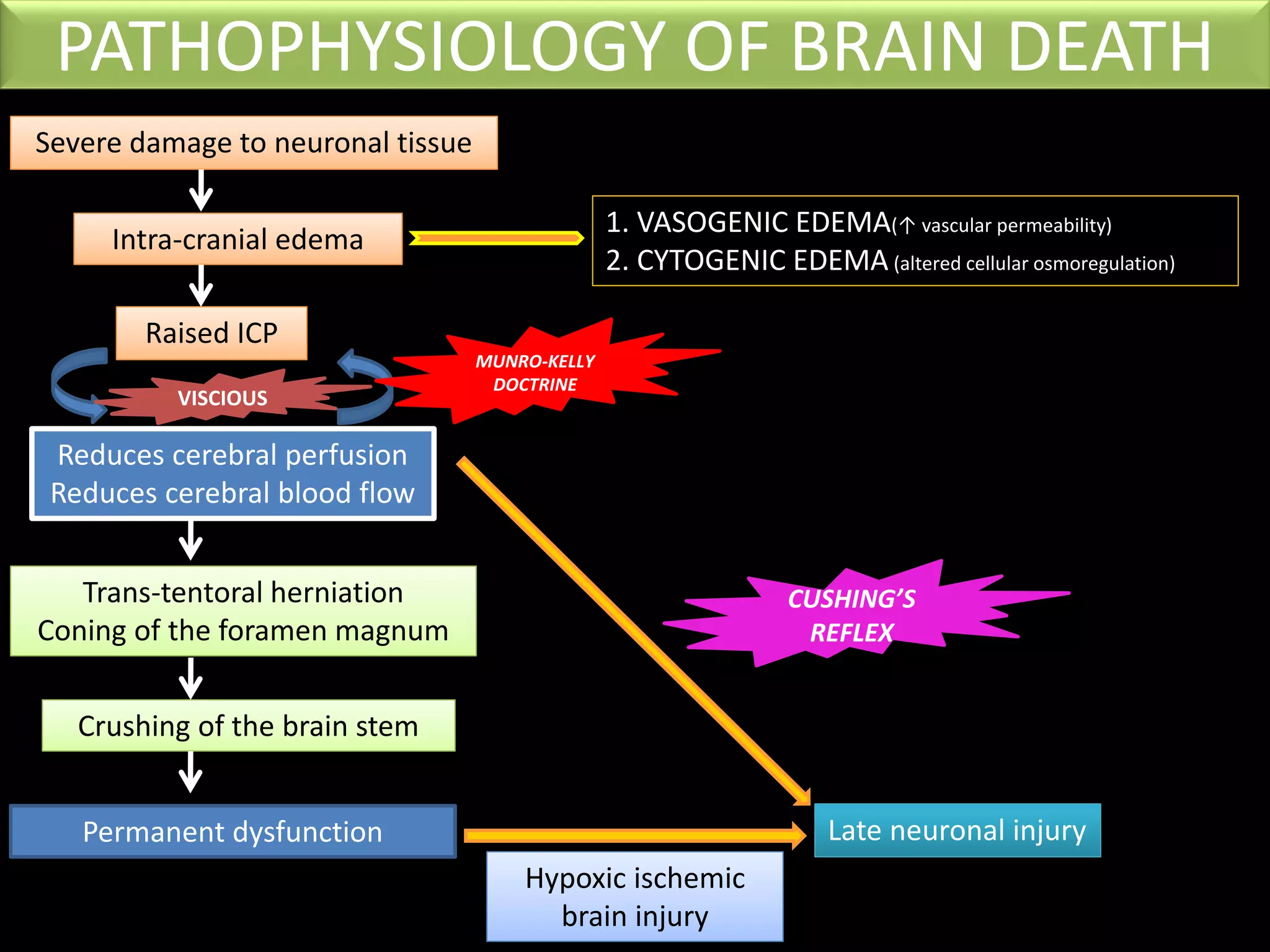 Brain death | PPTX