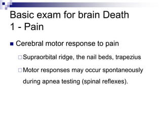 Brain death | PPT