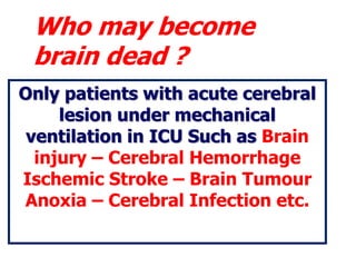 Brain death | PPT
