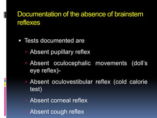 BRAIN DEATH.pptx