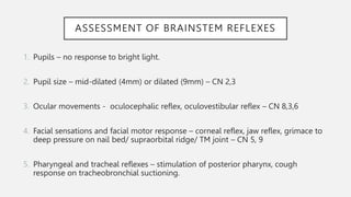BRAIN DEATH AND ORGAN TRANSPLANTATION | PPTX