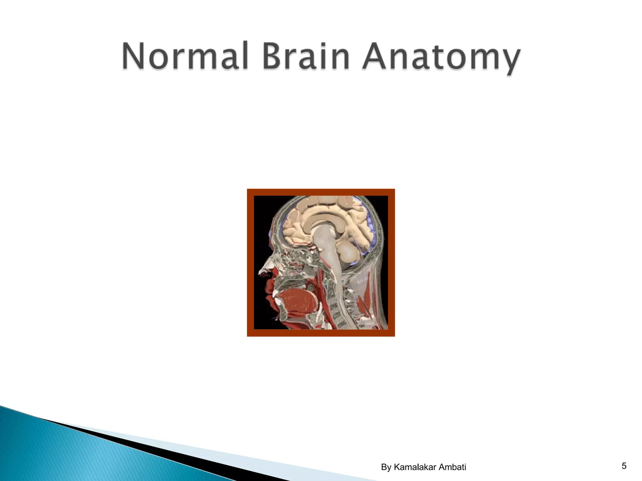 Brain death assessment basic principles | PPT