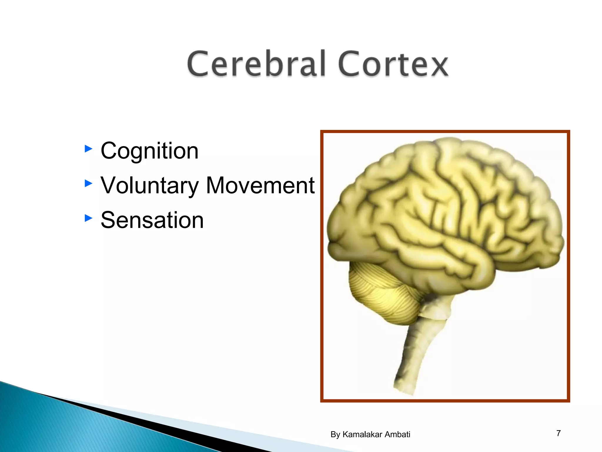 Brain death assessment basic principles | PPT