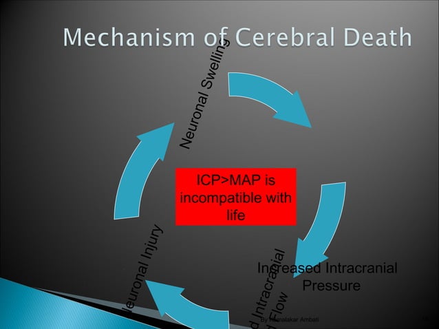Brain death assessment basic principles | PPT | Brain and Nervous ...
