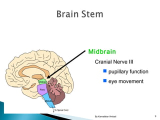Brain death assessment basic principles | PPT