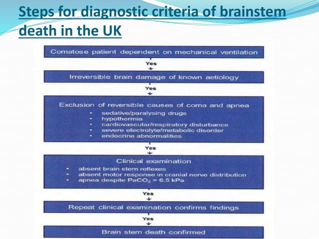 Brain death current concepts and legal issues in india | PPTX | Brain ...