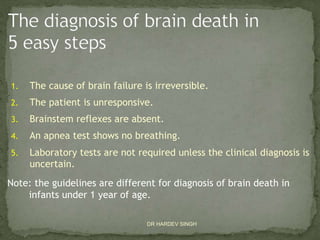Brain death | PPT