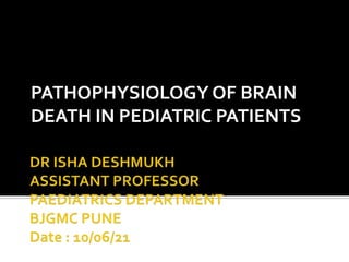 Brain death in paediatrics | PPT