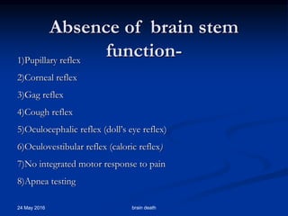 Brain death presentation | PPTX