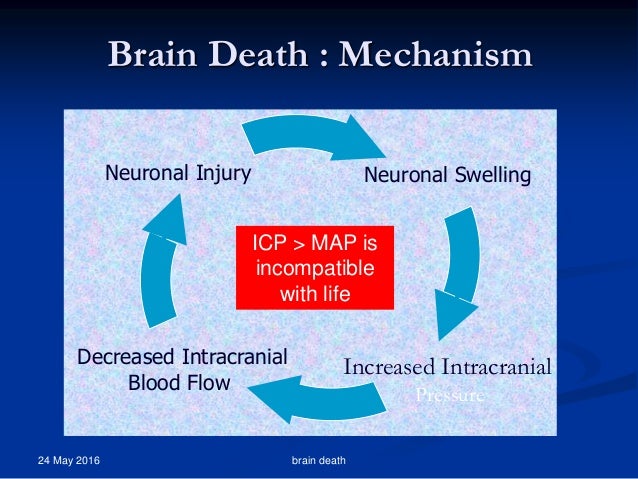 Brain death presentation