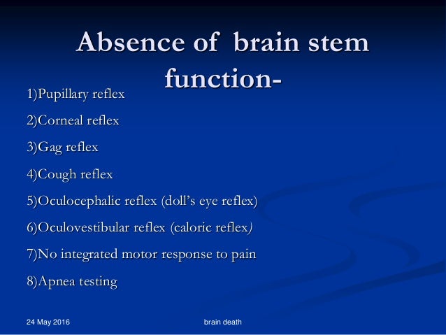 Brain death presentation