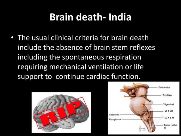 Brain death | PPTX | Brain and Nervous System Disorders | Diseases and ...