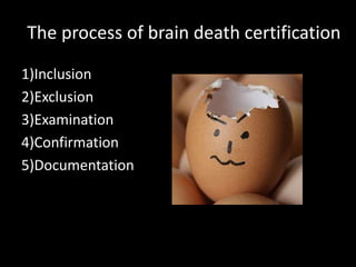 Brain death | PPTX