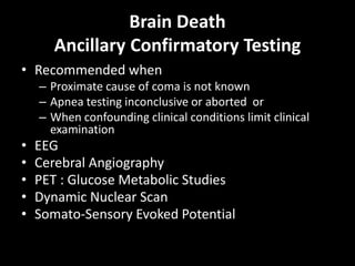 Brain Death Testing