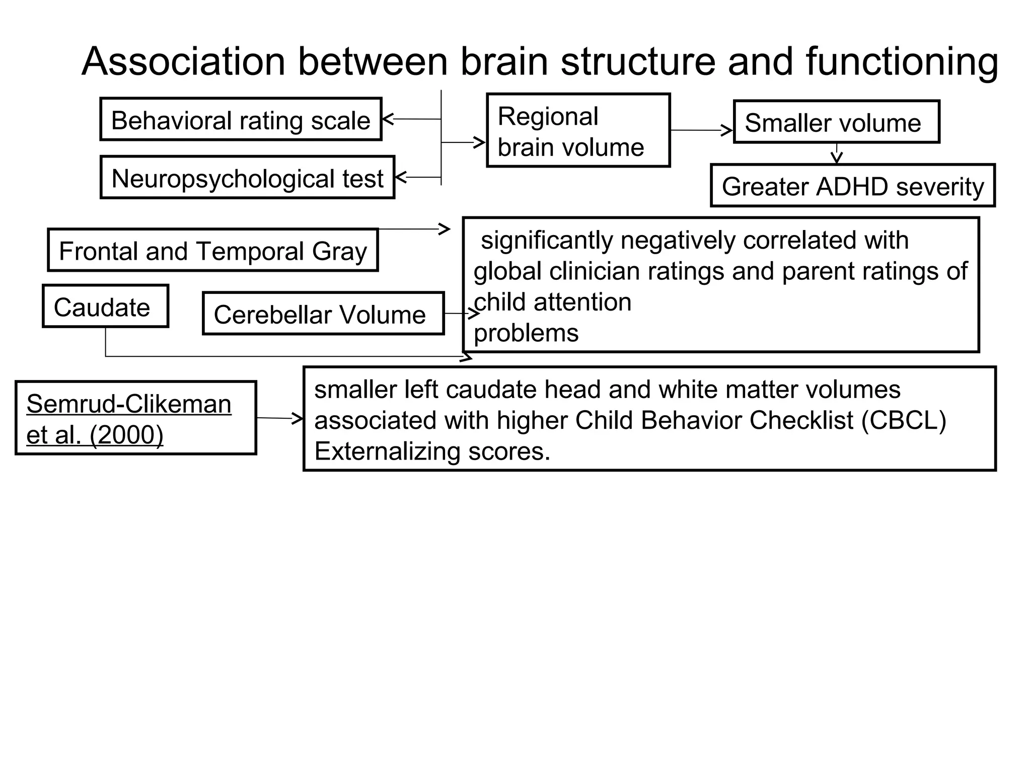 Brain developm adhd2 | PPT