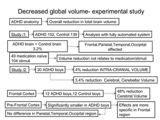 Brain developm adhd2 | PPT