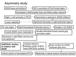 Brain developm adhd2 | PPT