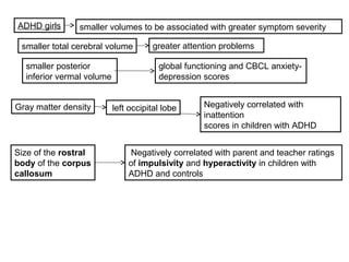 Brain developm adhd2 | PPT