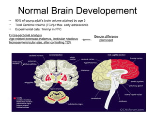 Brain developm adhd2 | PPT