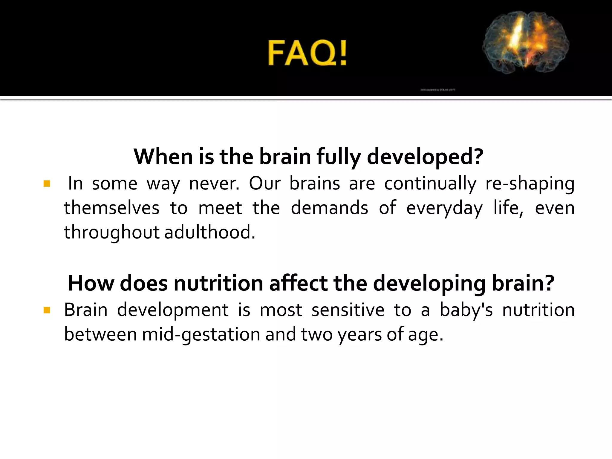 Brain Development | PPTX