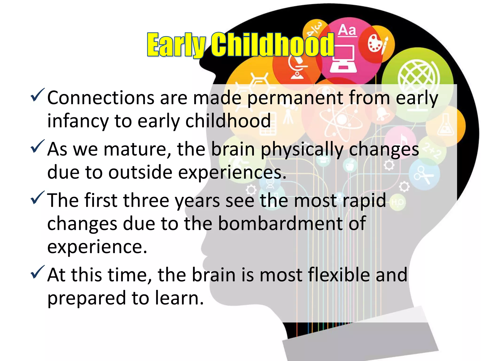 Brain development | PPTX