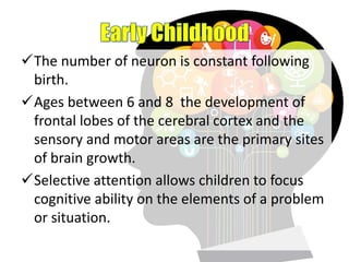 Brain development | PPTX