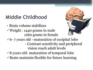 Brain Development.pptx