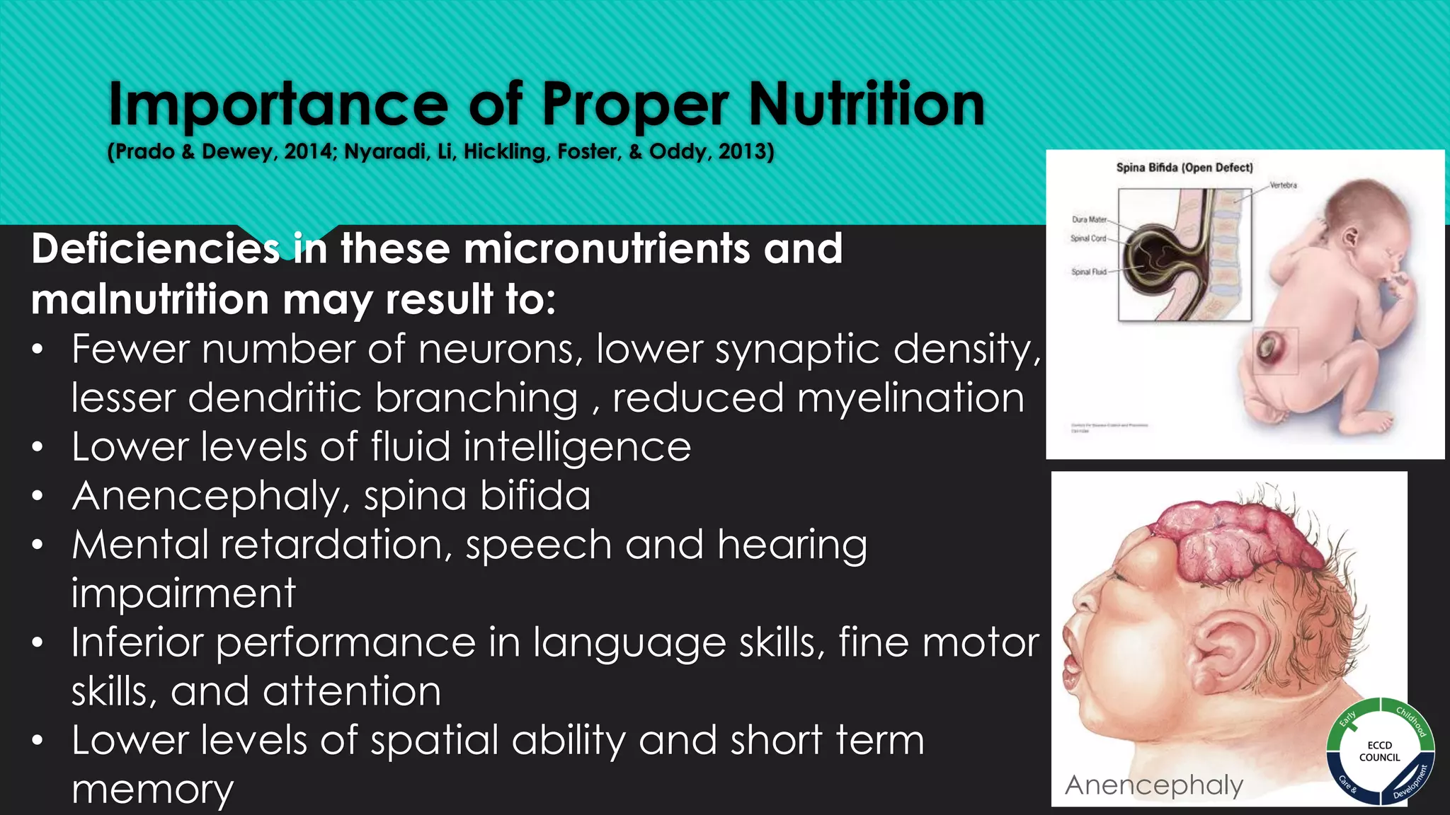 Brain Development.pdf