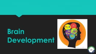 Brain Development.pdf