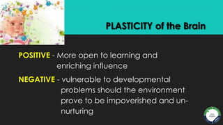 Brain Development.pdf | Brain and Nervous System Disorders | Diseases ...