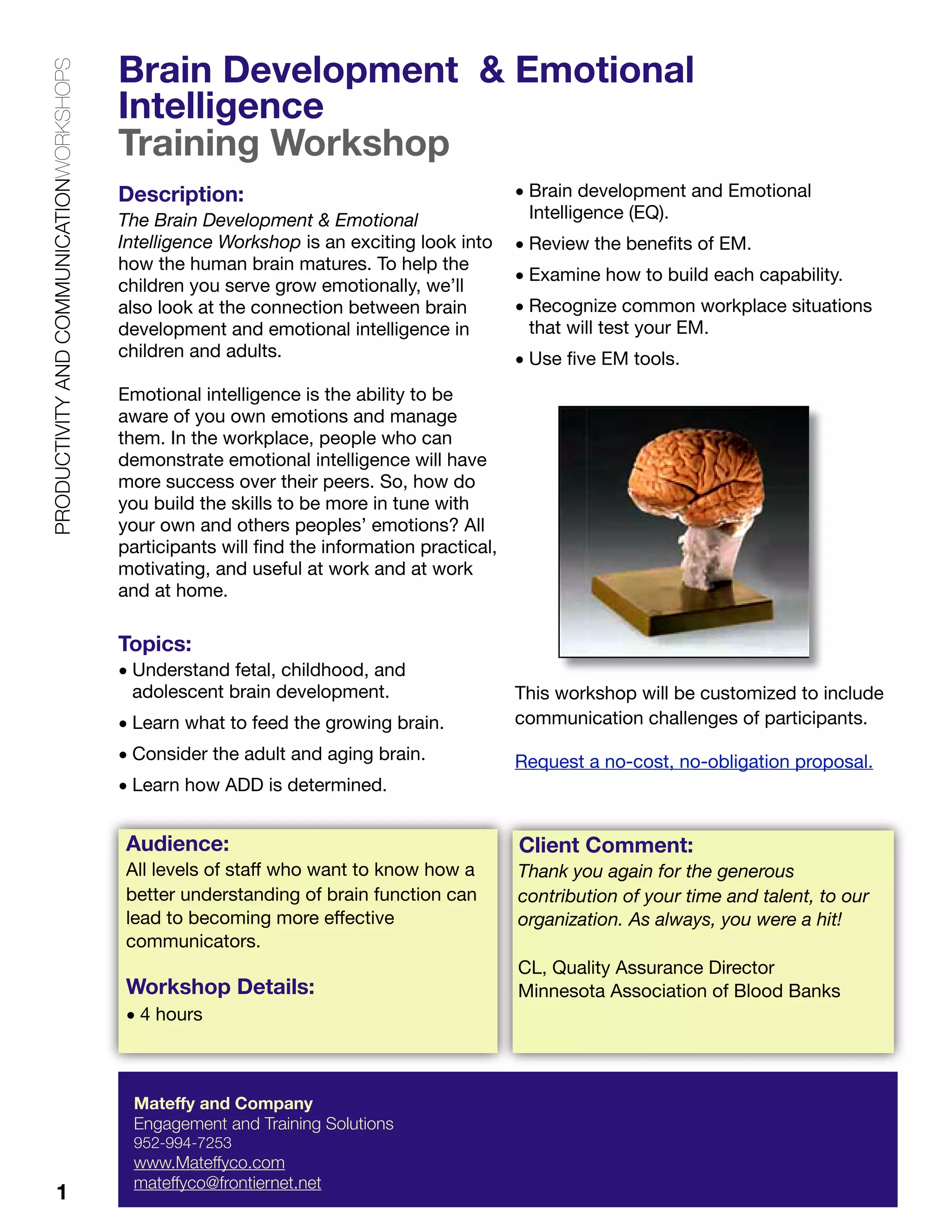 Brain Development and Emotional Intelligence Workshop | PDF