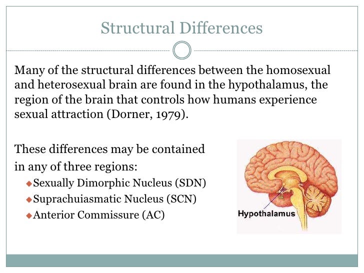 Brain development final presentation currie