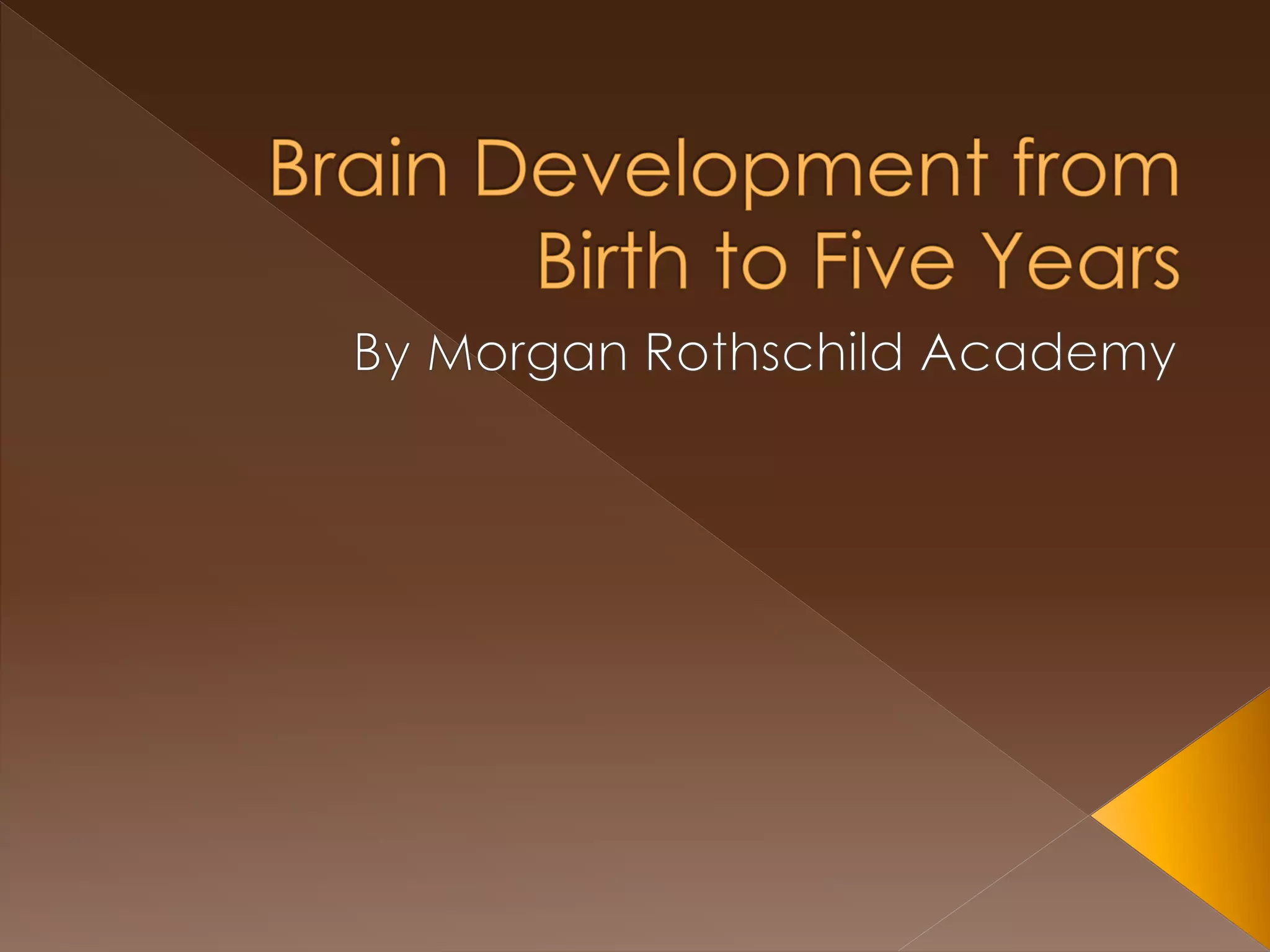 Brain Development from Birth to Five Years | PPT