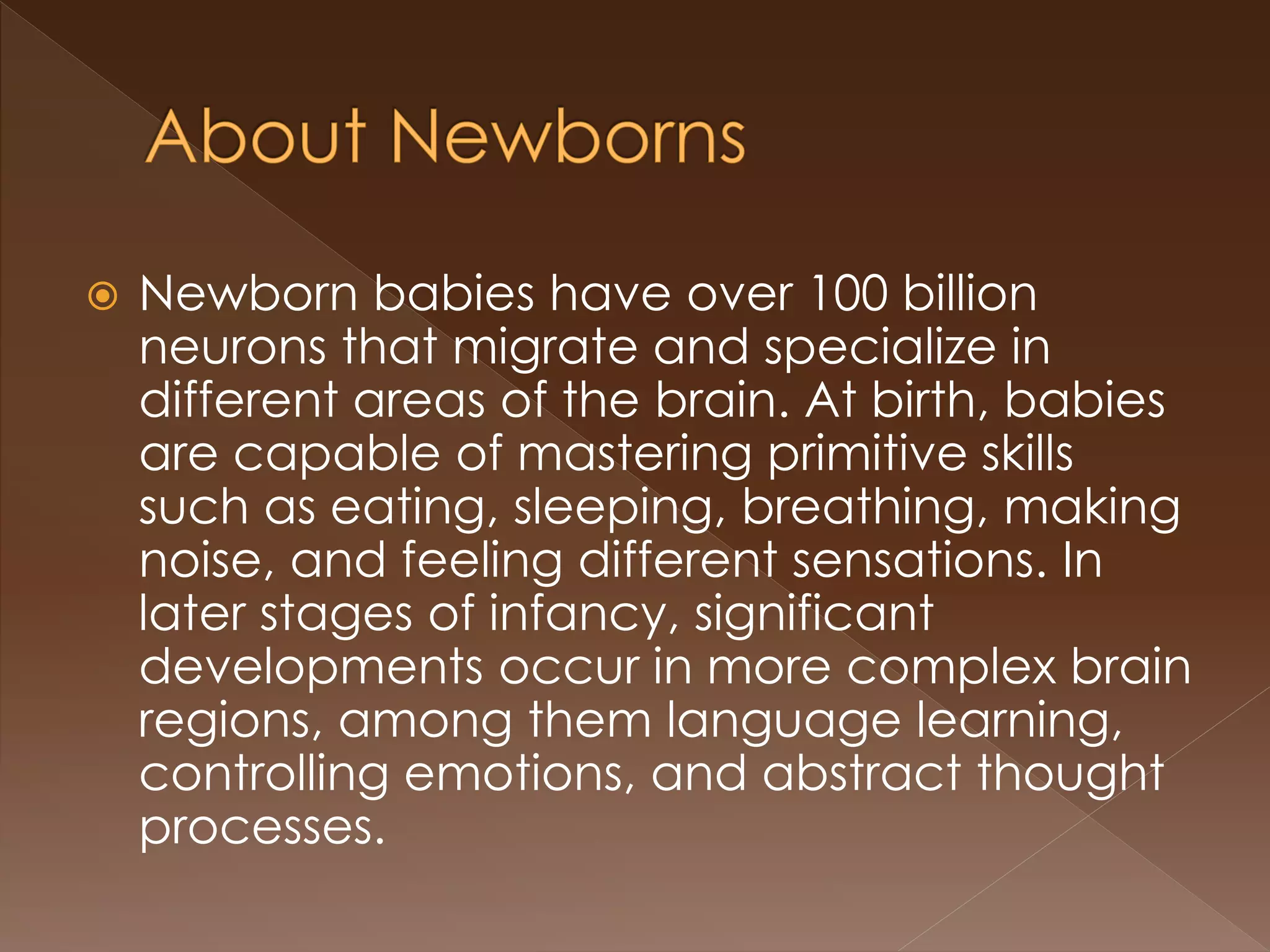 Brain Development from Birth to Five Years | PPT