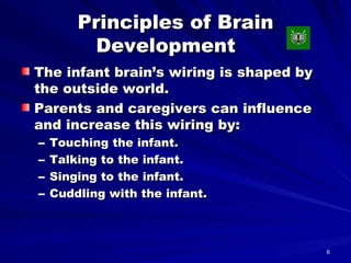 Brain development of_the_infant-1 | PPT